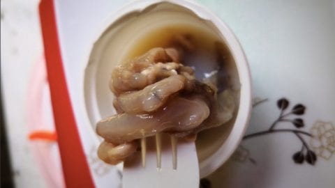 Tamilok Woodworm: A Delicacy From The Philippines | Travel Food Atlas