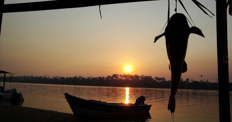 Stewed Kapenta (Matemba) with Sadza | Zimbabwean/Zambian | Travel Food ...