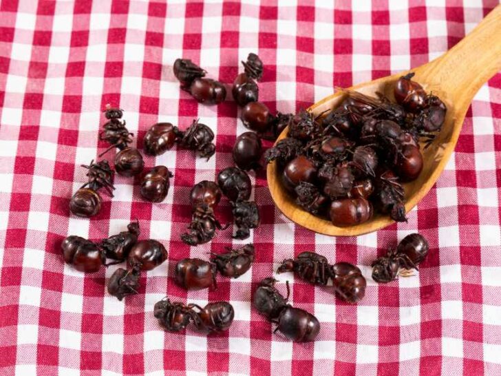 Colombian Food: 23 Traditional Dishes of Colombia | Travel Food Atlas