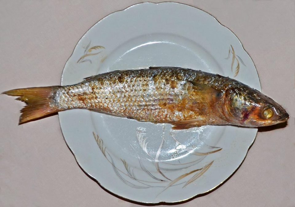 Fesikh: The Egyptian Deadly Smelly Fish Delicacy | Travel Food Atlas