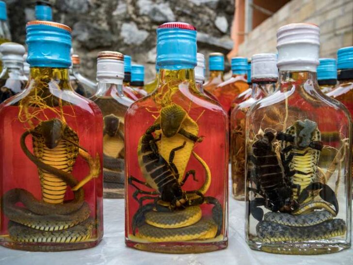 Thai Snake Whiskey | Travel Food Atlas