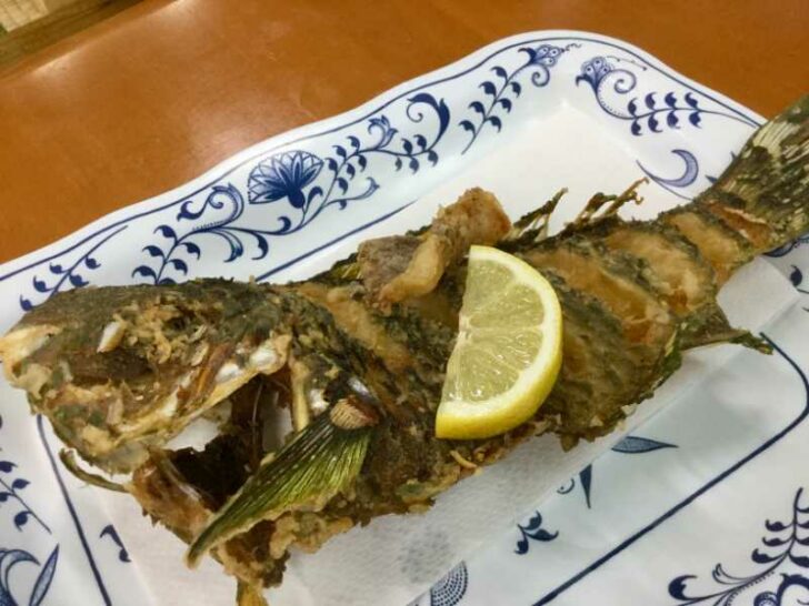 Namibian Food: 8 Traditional Dishes of Namibia | Travel Food Atlas